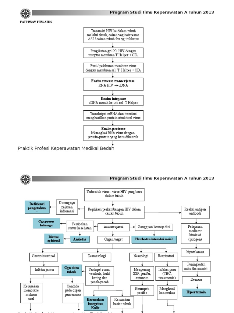 Pathway Hiv | PDF