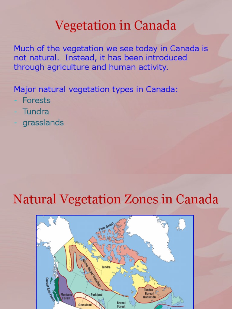 Vegetation in Canada | PDF | Forests | Soil