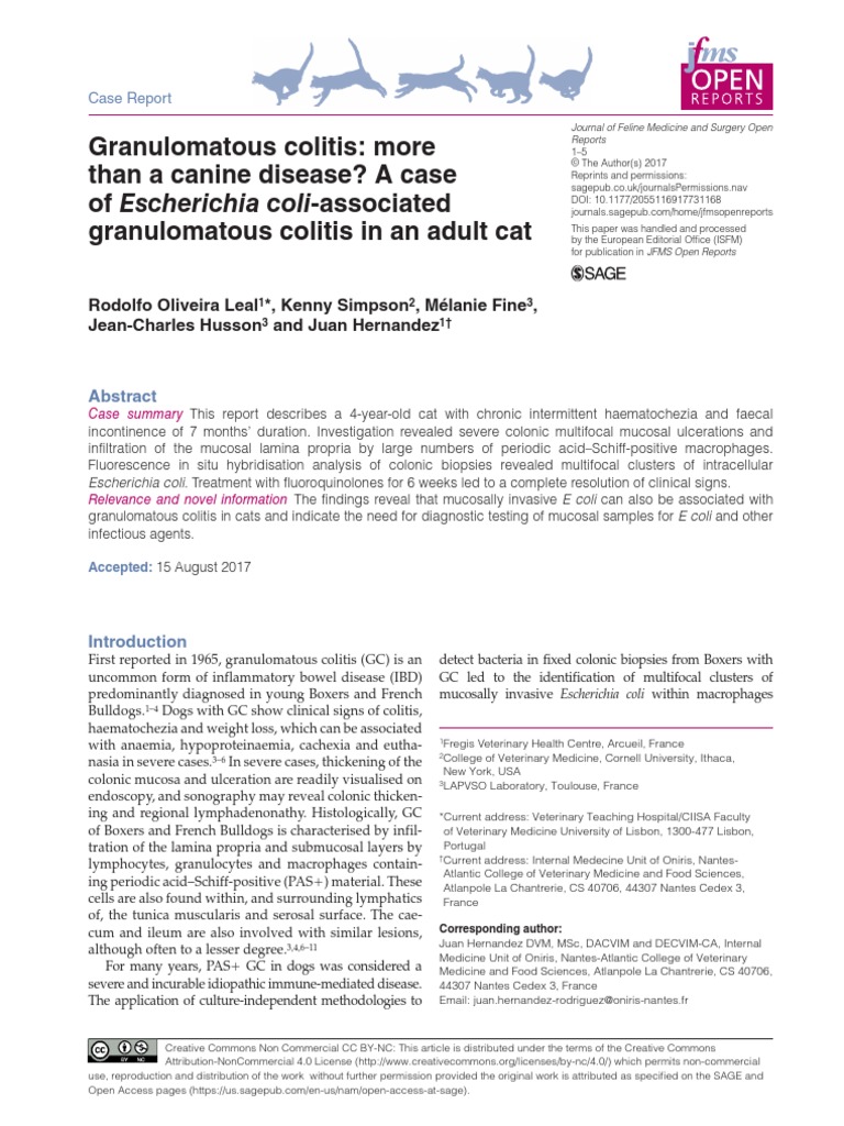 Granulomatous Colitis: More Than A Canine Disease? A Case of ...