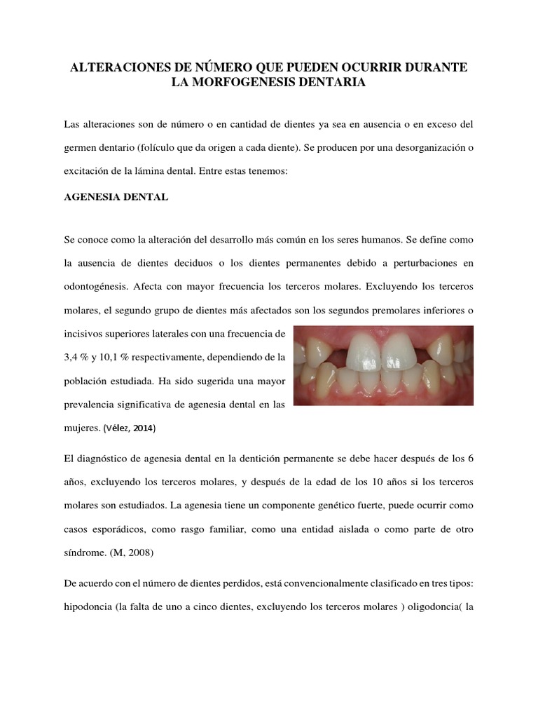 Alteraciones de Número Que Pueden Ocurrir Durante La Morfogenesis ...