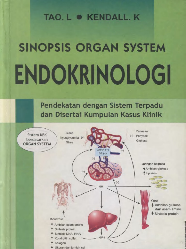 Endokrin | PDF