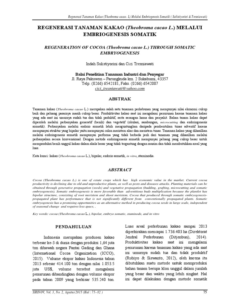 Regenerasi Tanaman Kakao Theobroma Cacao L. Melalui Embriogenesis ...