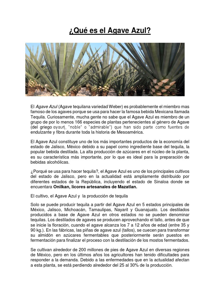 AGAVE | PDF | Botánica | Horticultura y jardinería