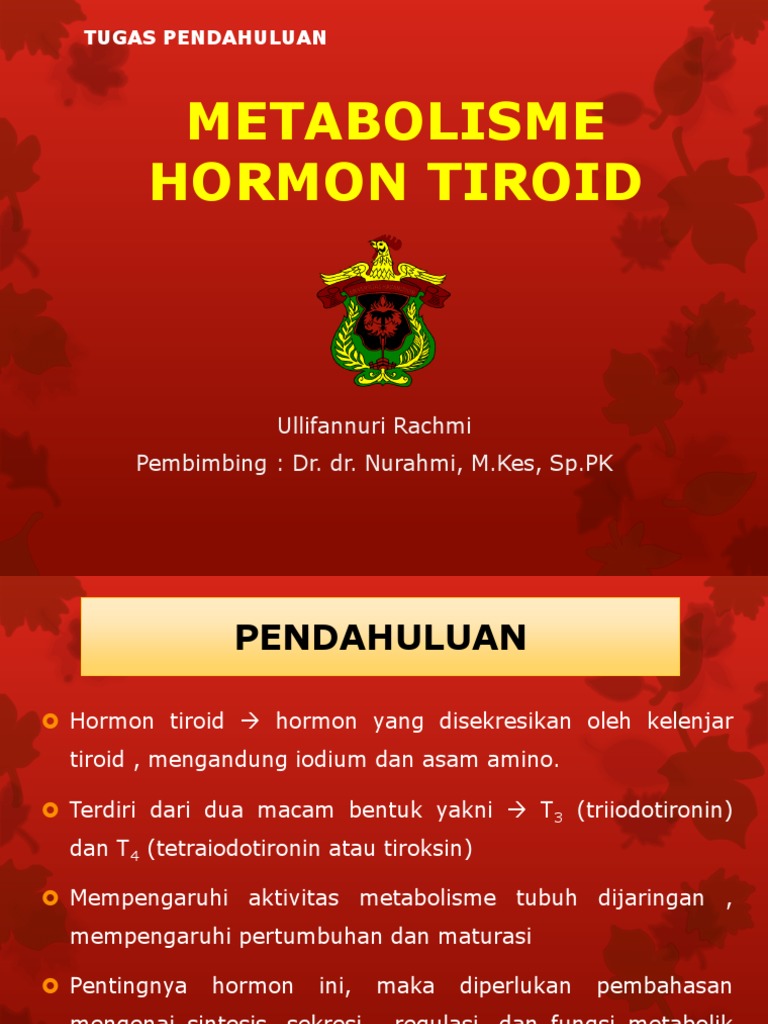 Metabolisme Hormon Tiroid | PDF
