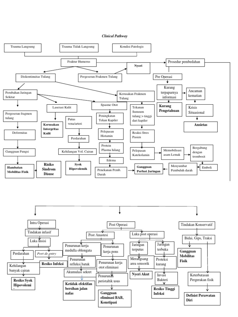 Clinical Pathway | PDF