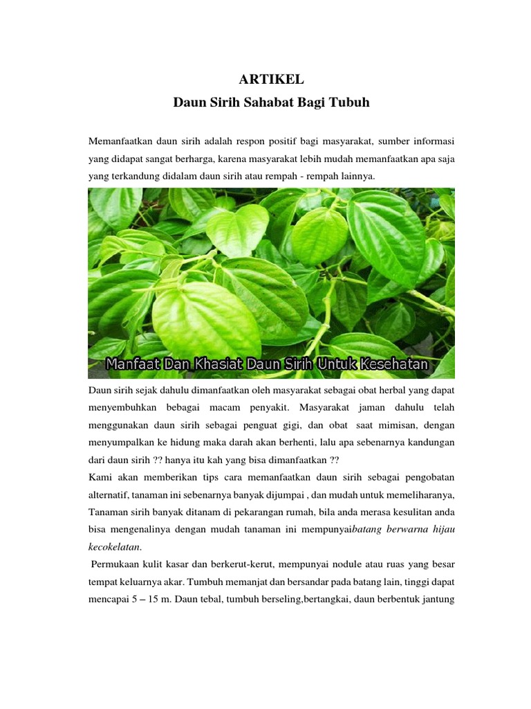 Artikel Daun Sirih | PDF | Sains & Matematika