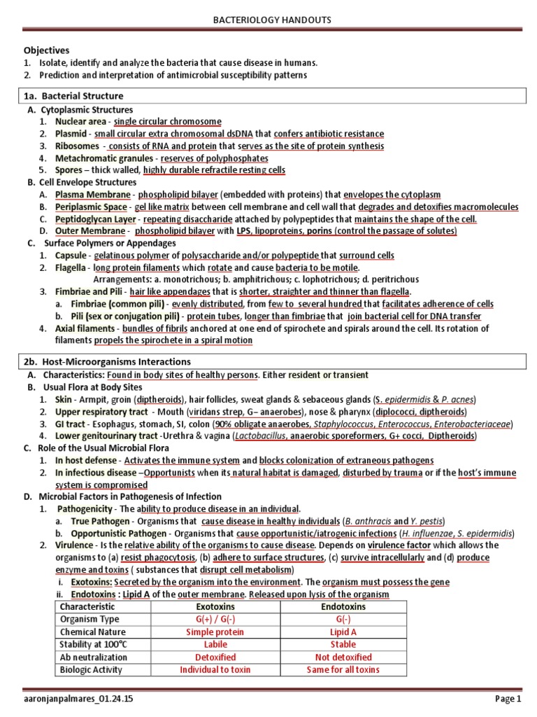 Bacteriology Handouts From Sir Palmares | PDF | Streptococcus | Growth ...