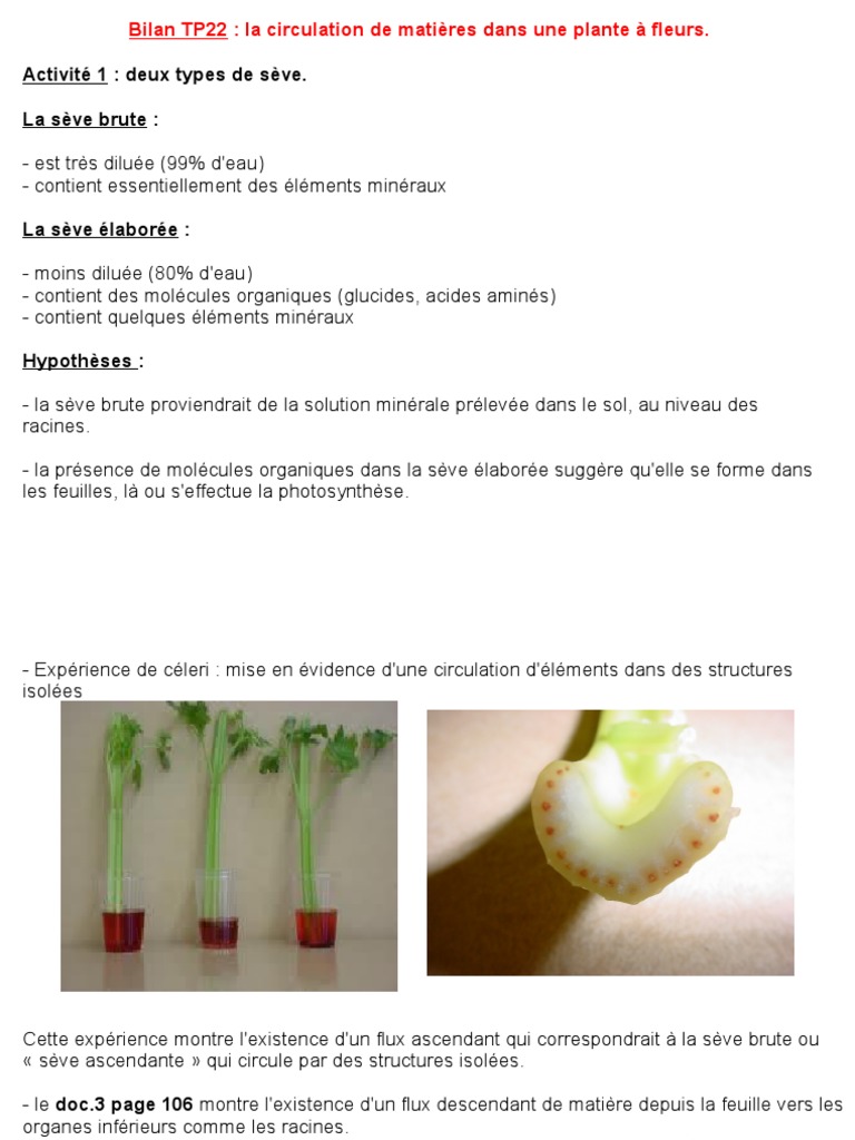 PDF TP22 Bilan | PDF