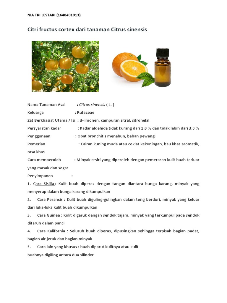 Citri Fructus Cortex Dari Tanaman Citrus Sinensis | PDF