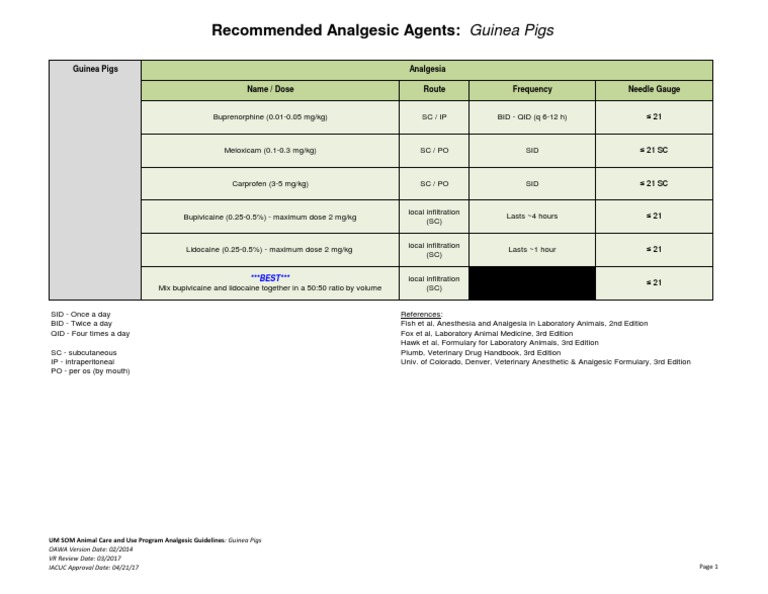 Guinea Pigs PDF | Download Free PDF | Analgesic | Pain