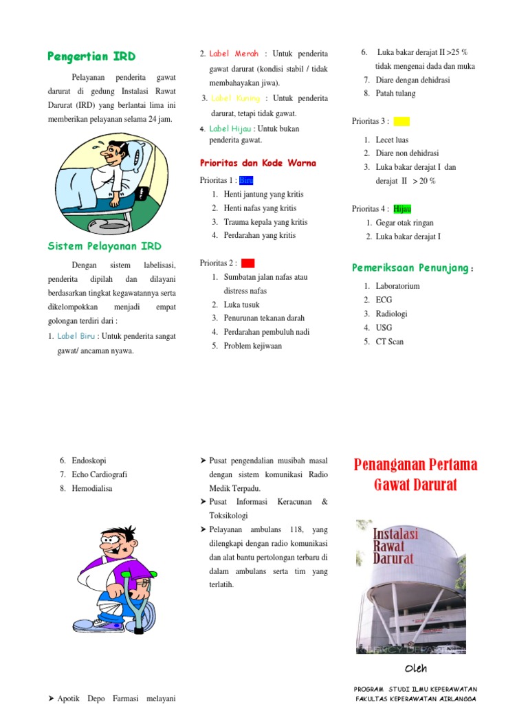 Leaflet Ird Triage | PDF