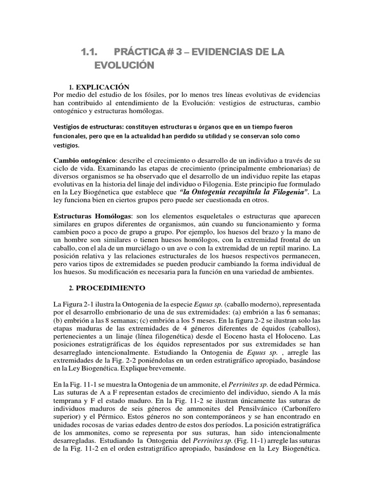 Evidencias de La Evolucion | PDF | Evolución | Biología evolucionaria