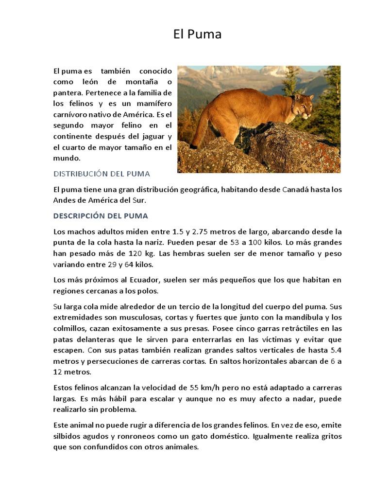 El Puma | PDF | Puma | Organismos