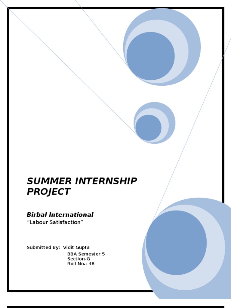 Summer Internship Project: Birbal International | PDF | Labour ...