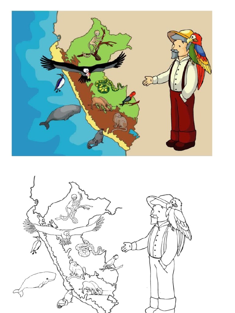 Mapa Del Peru y Sus Animales | PDF