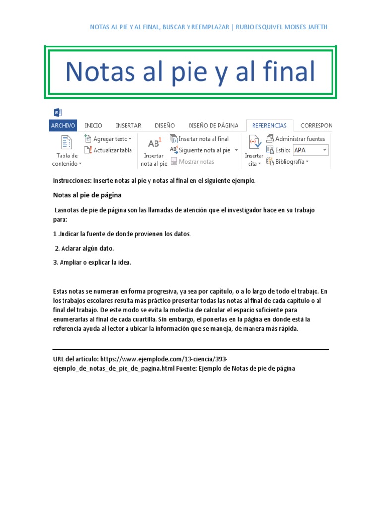 Notas Al Pie y Al Final | PDF