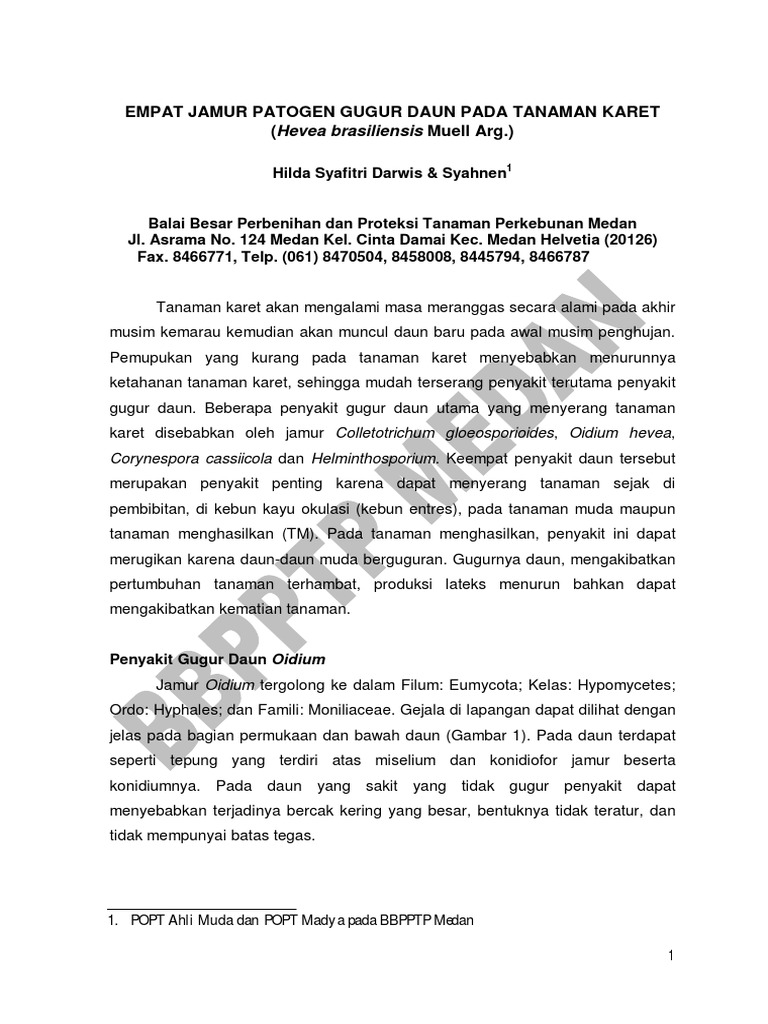 EMPAT JAMUR PATOGEN GUGUR DAUN PADA TANAMAN KARET (Hevea Brasiliensis ...