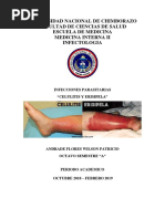 Cápsula de Glisson | PDF | Tejido adiposo | Riñón