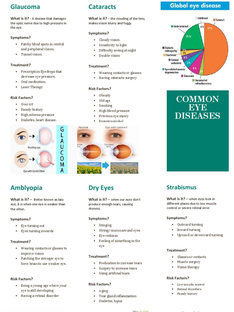 Common Eye Diseases Overview | PDF | Human Eye | Cataract