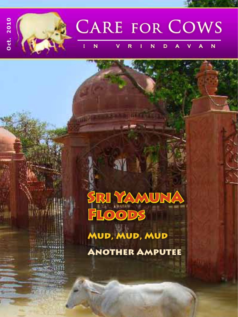 Care Cows: Sri Yamuna Floods | PDF | Sikhism | Nature