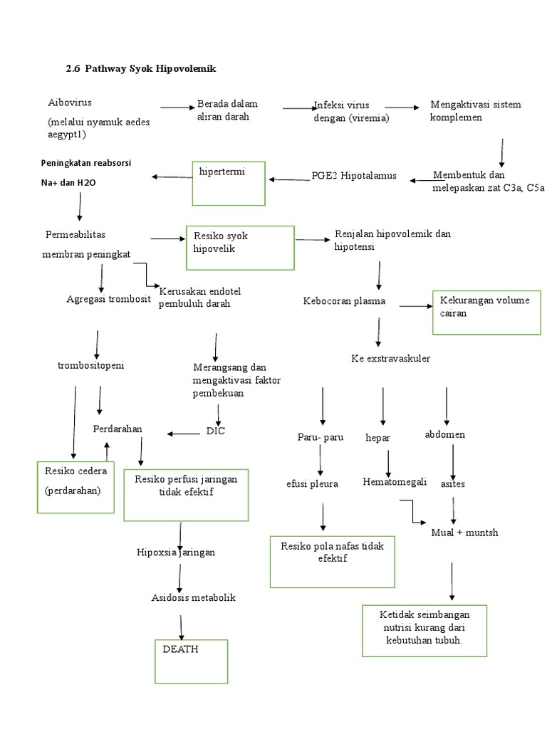 Pathway Syok Hipovolemik dan Risiko | PDF