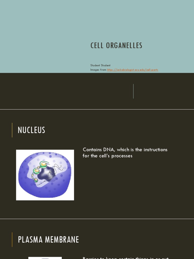 Parts of Cells Sample | PDF