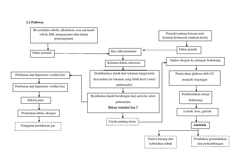 PDA Pathway | PDF