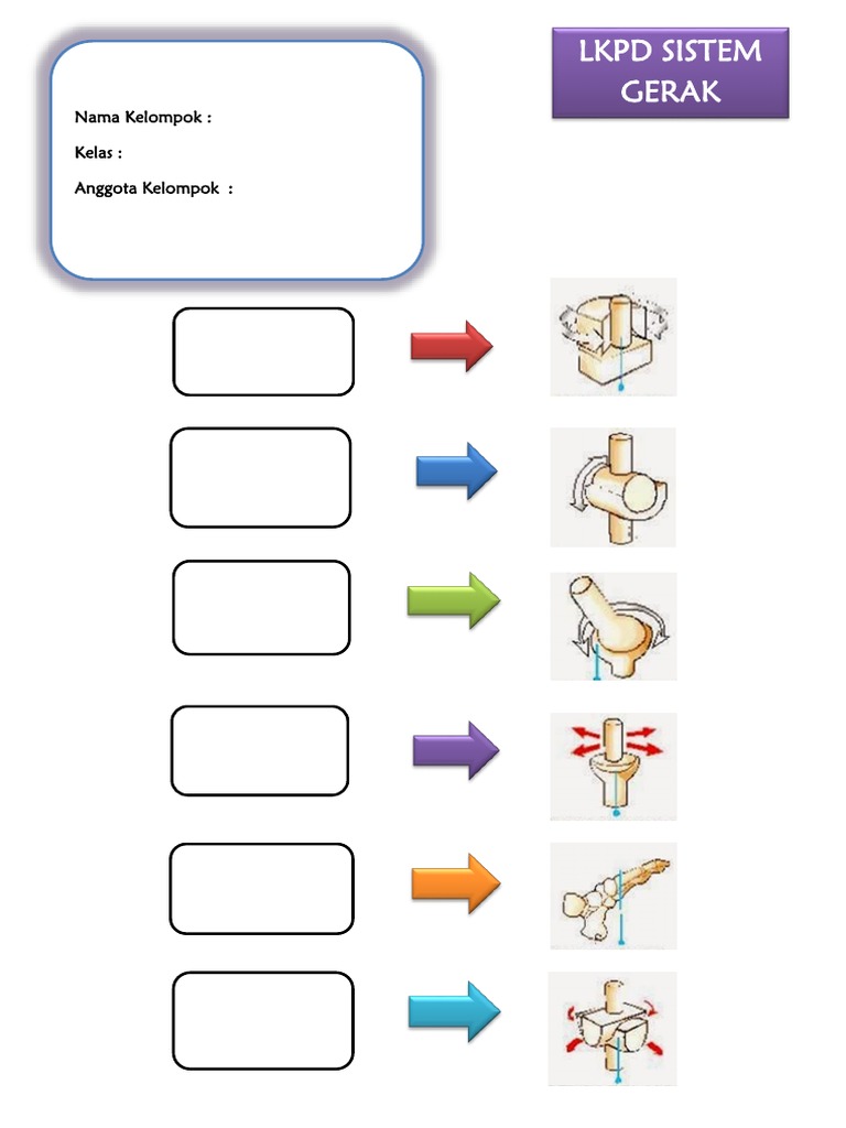 LKPD Sendi Gerak | PDF