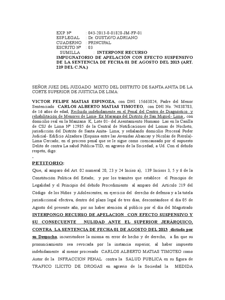 Apelacion Sentencia Penal J. Morales | PDF | Habeas corpus | Ley procesal