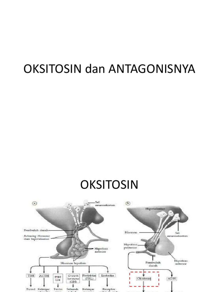 Oksitosin | PDF