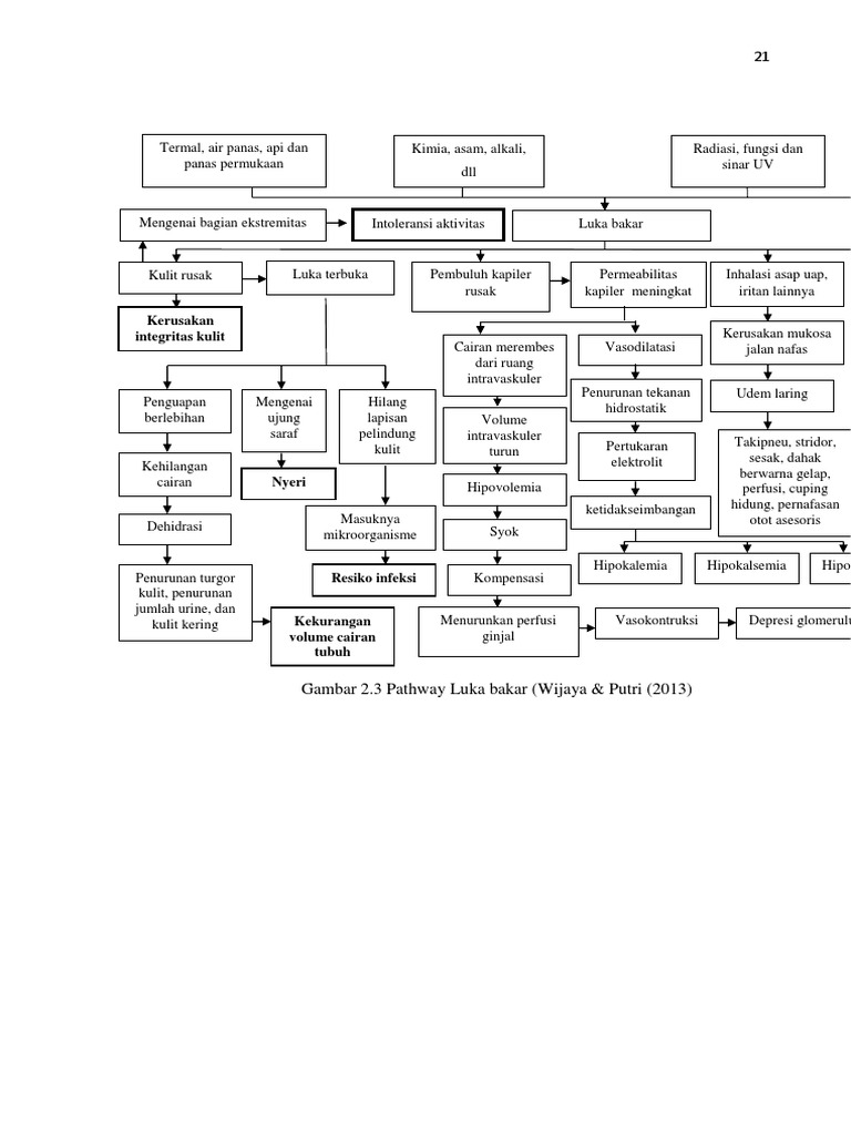 Pathway Luka Bakar | PDF