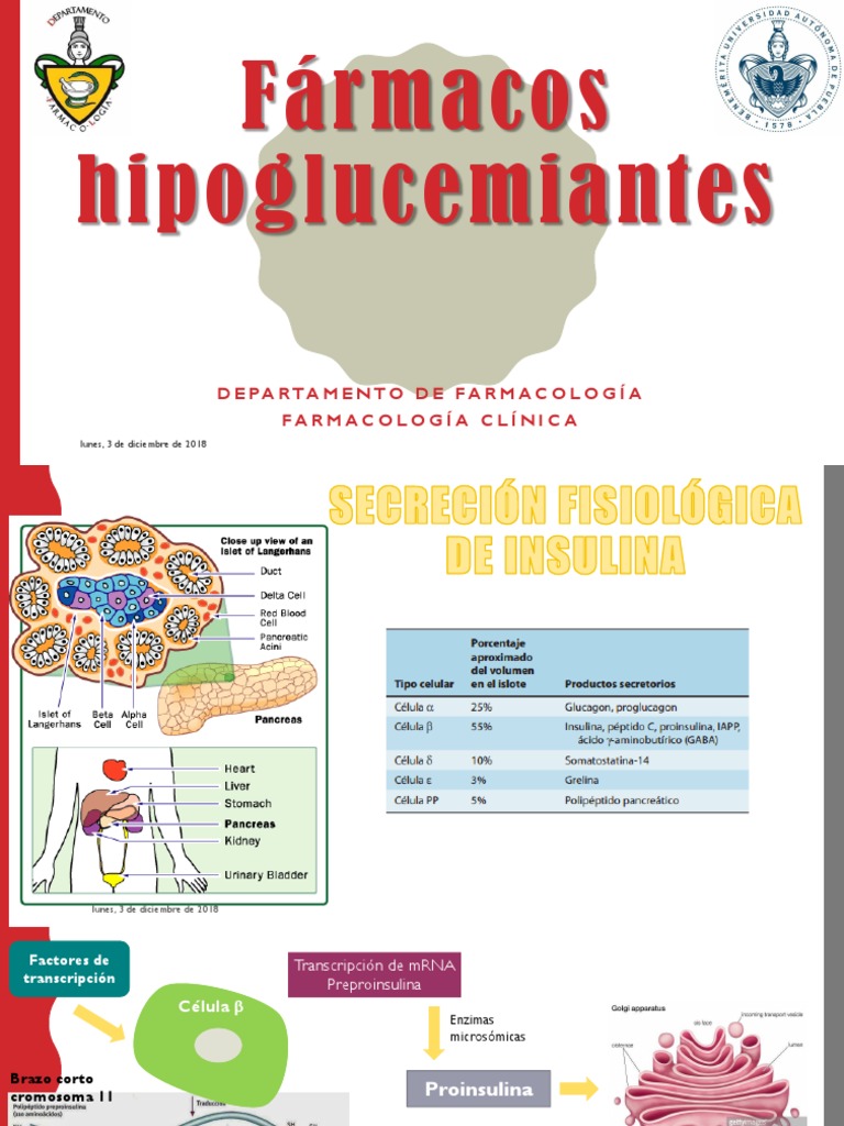 Hipoglucemiantes Orales | PDF | Diabetes mellitus | Insulina