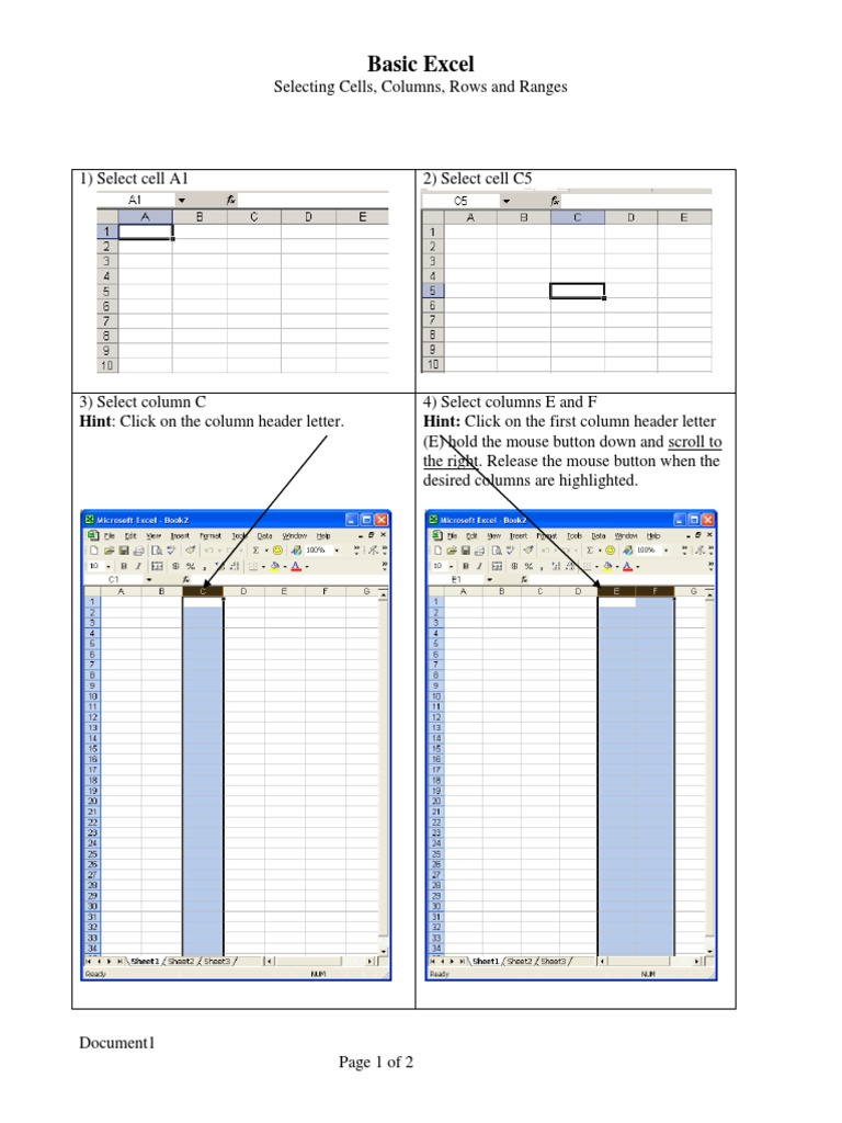 Selecting Cells | PDF