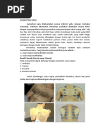 Bising Usus Normal, Auskultasi Paru. | PDF