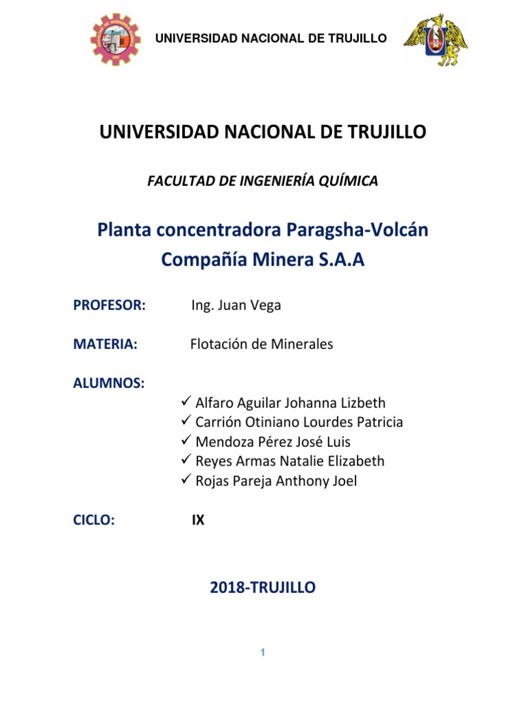 Planta Concentradora Paragsha: Proceso Minero | PDF | Minería | Dirigir