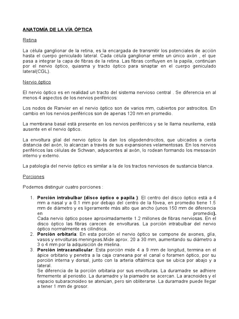 Anatomía de La Vía Óptica | PDF | Ojo humano | Percepción visual