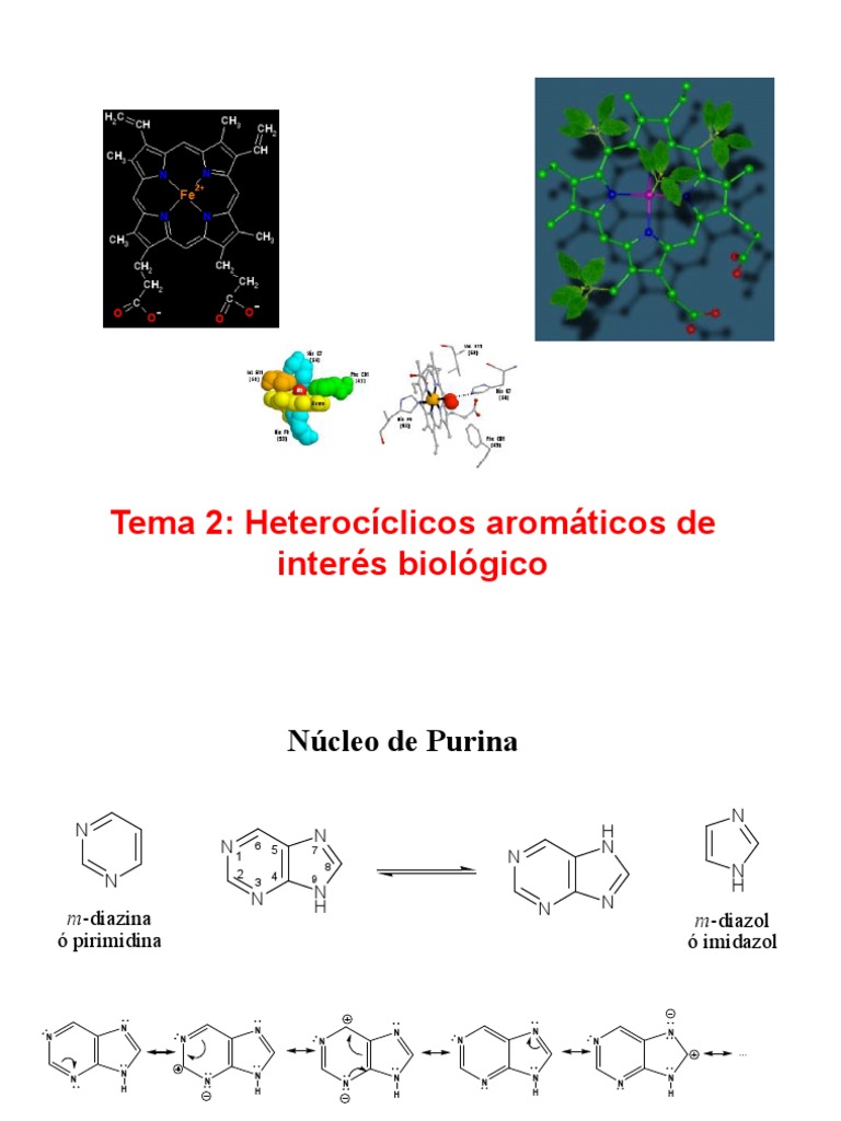 Heterociclos Aromáticos - Clase 3 | PDF | Ácido | Enlace químico