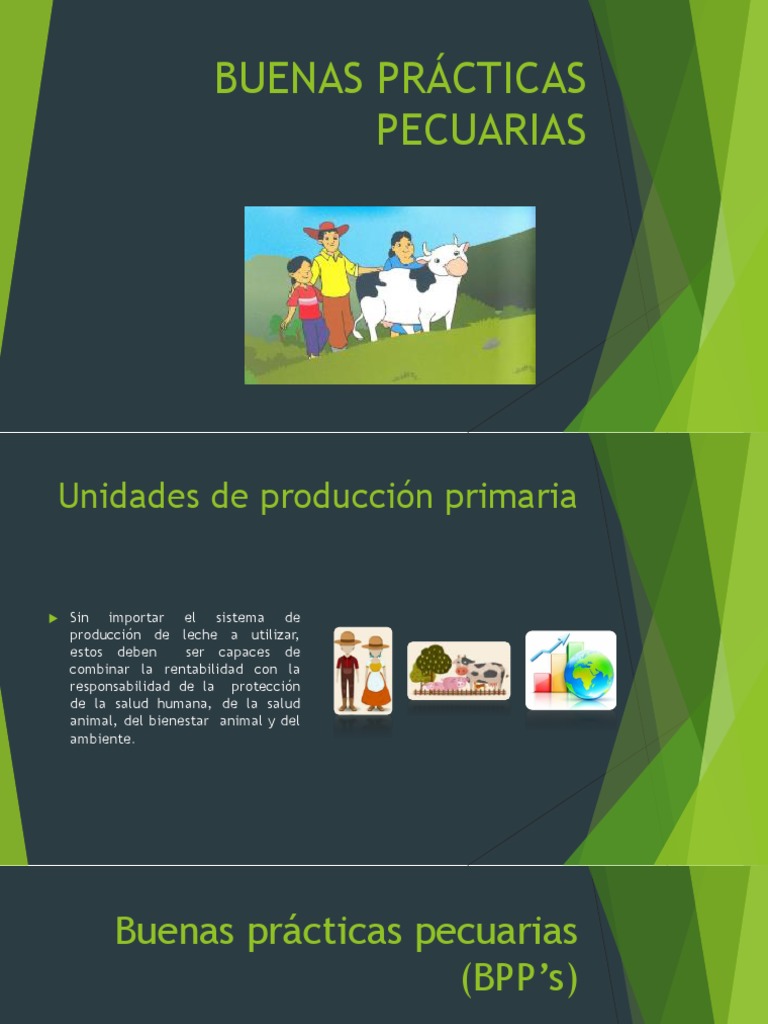 Buenas Prácticas Pecuarias | PDF | Medicamentos con receta | Leche