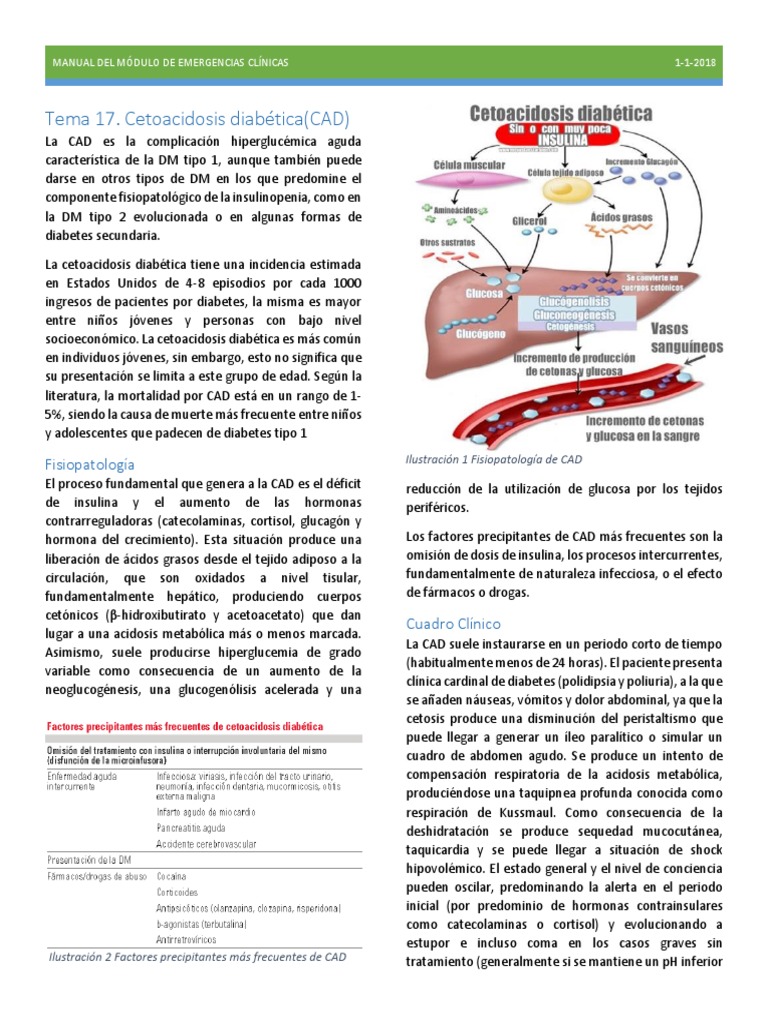 Tema 17 Cetoacidosis Diabética (CAD) PDF | PDF | Diabetes mellitus ...