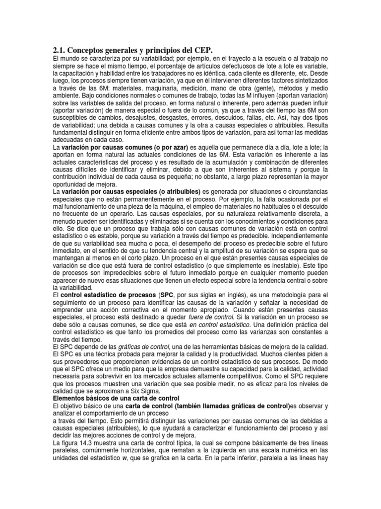 2.1. Conceptos Generales y Principios Del CEP. | Estadísticas | Negocios