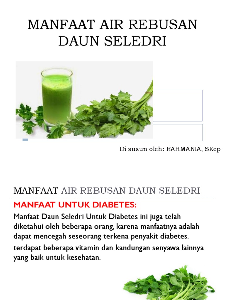 Air Rebusan Seledri | PDF