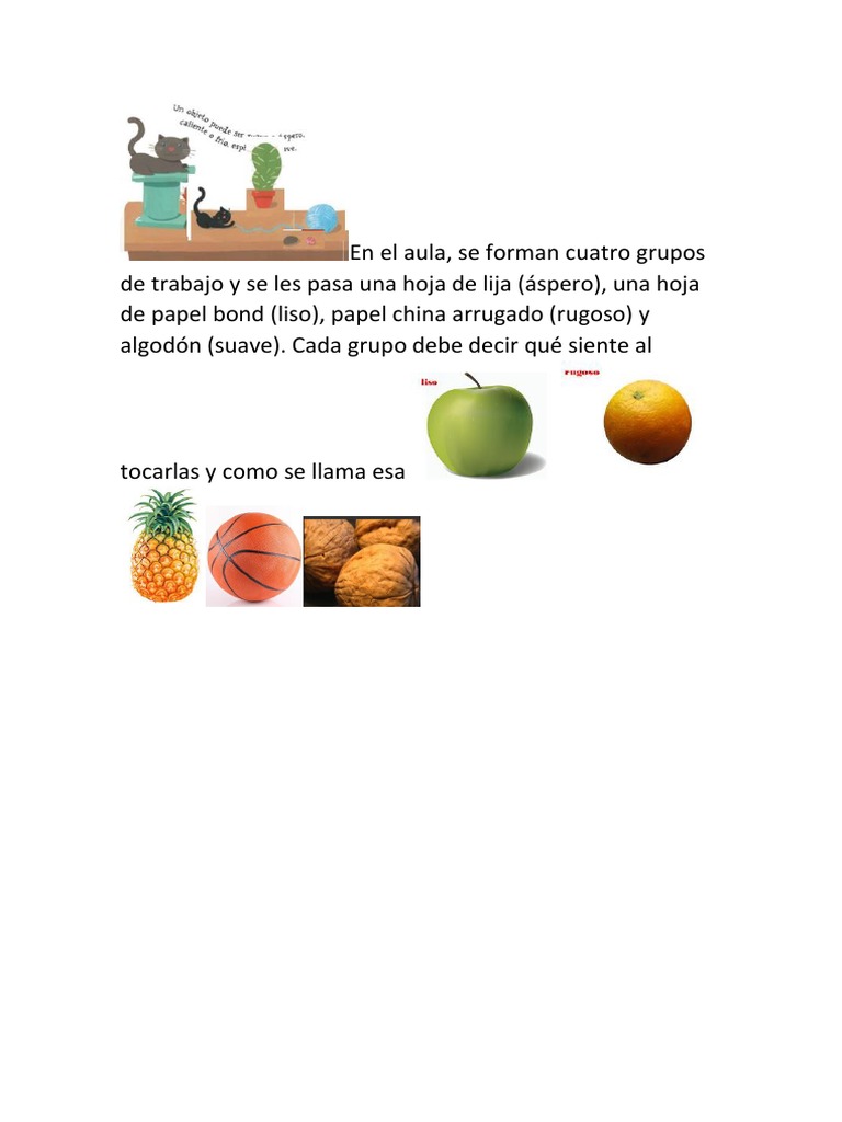 Objetos Lisos Y Rugosos