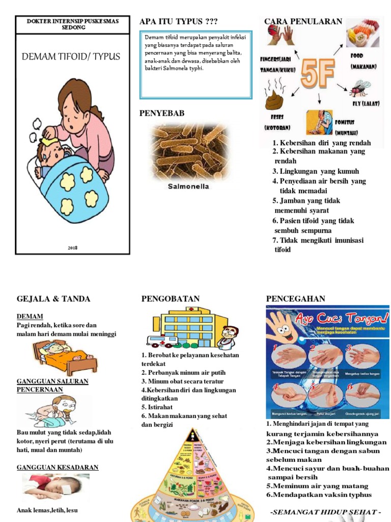 Leaflet Demam Tifoid | PDF