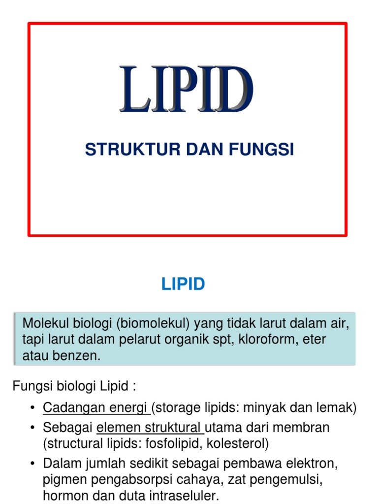 Struktur dan Fungsi Lipid dalam Biologi | PDF