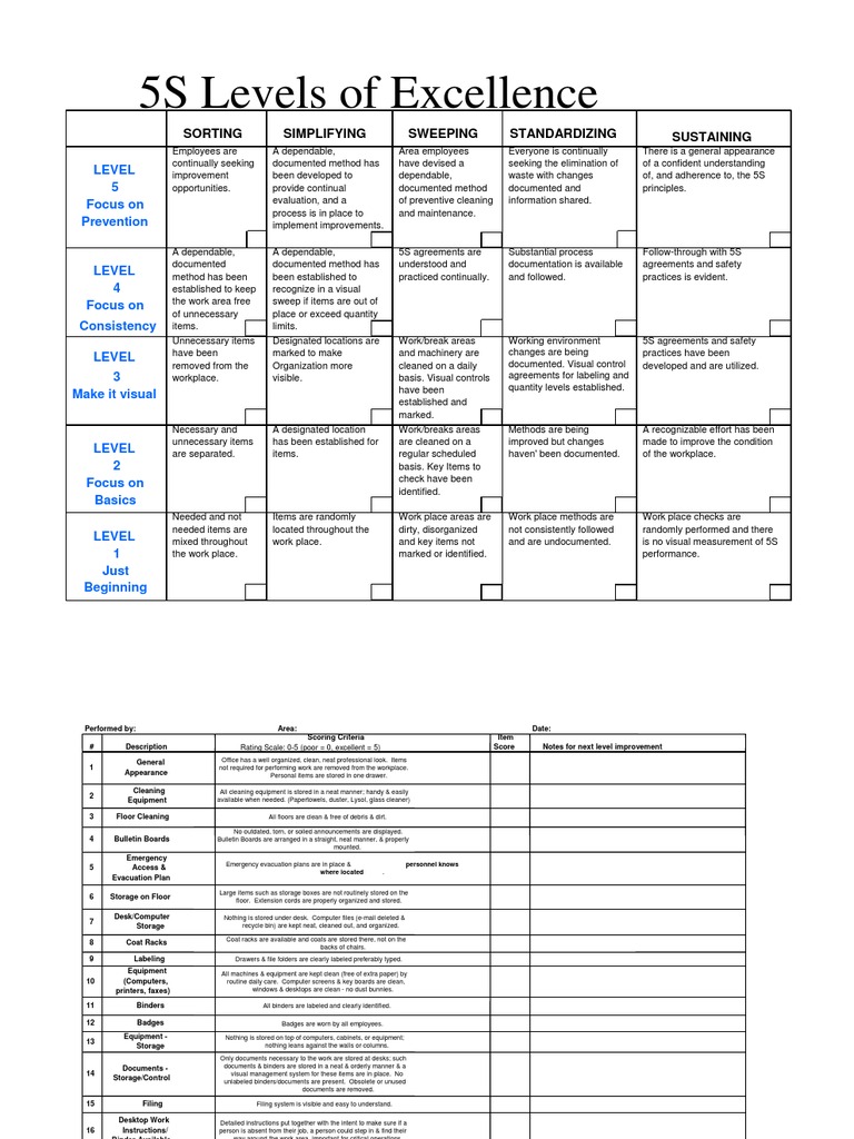 5S - Levels of Excellence | PDF | Desk | Computer File
