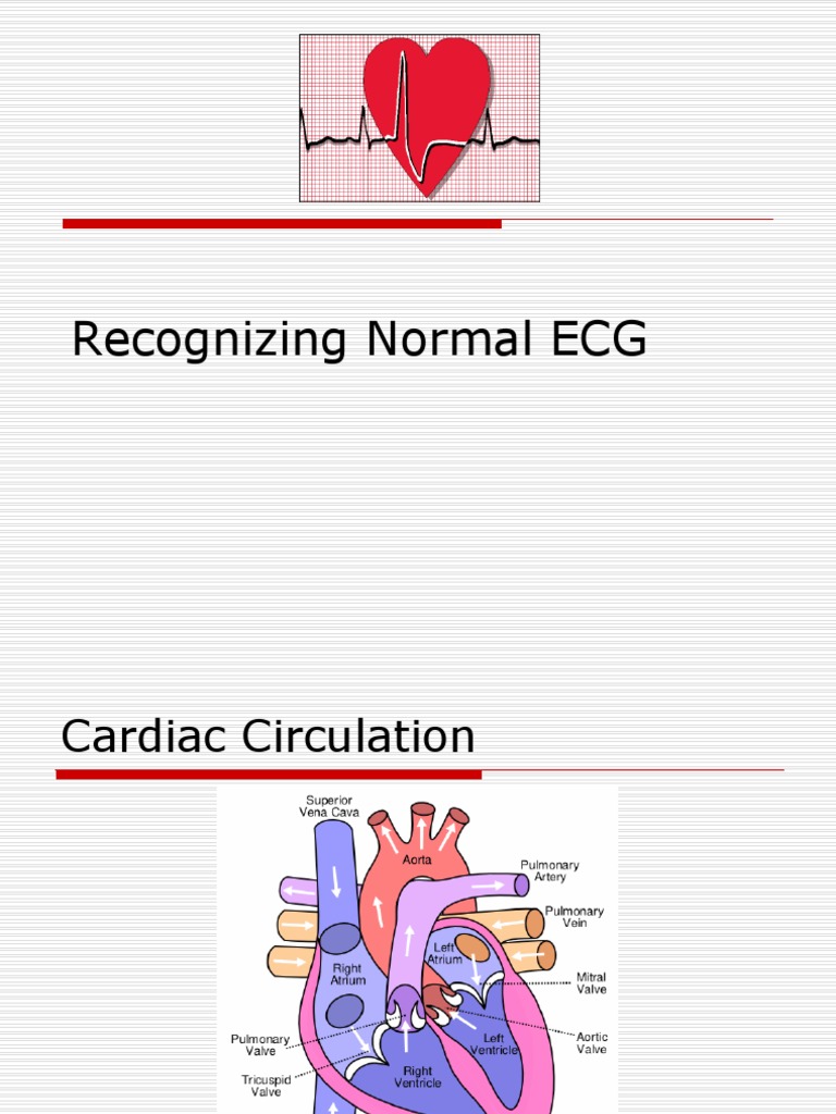 Recognizing Normal ECG | PDF | Electrocardiography | Artificial Cardiac ...