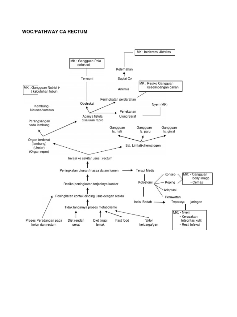 Pathway CA Rectum | PDF