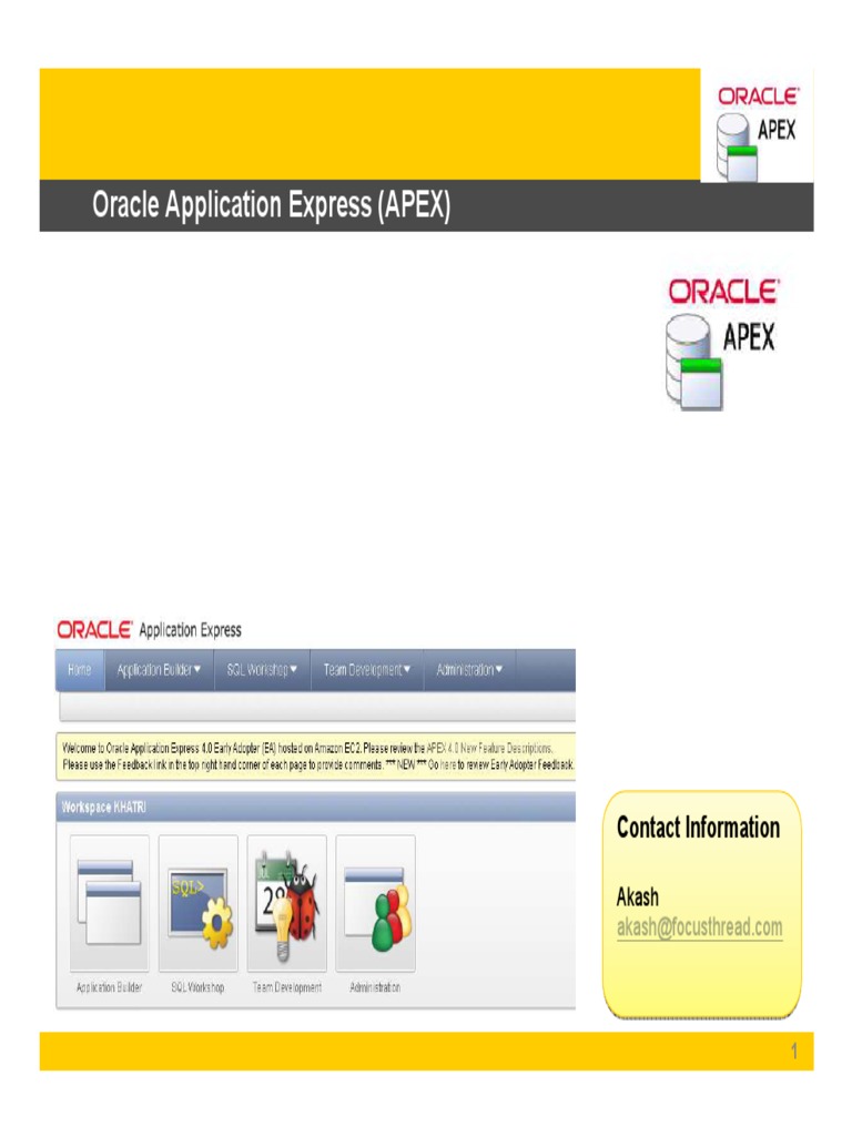 Best Practices Apex Pdf Oracle Database Web Application 7161