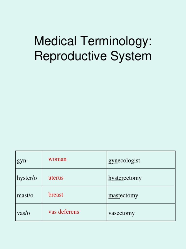 Medical Terminology - Reproductive System | PDF