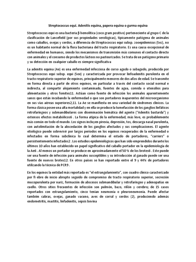 Streptococcus Equi | PDF | Estreptococo | Infección